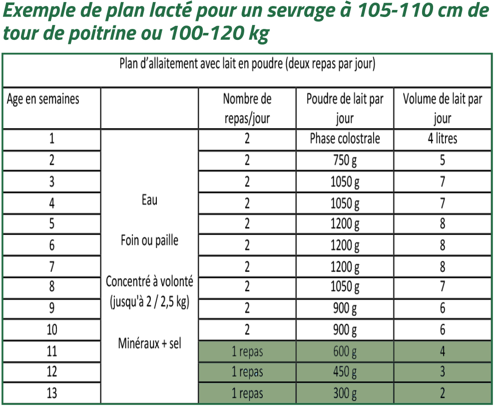 Alimentation lactée : de la rigueur avant tout | FIDOCL Conseil Elevage