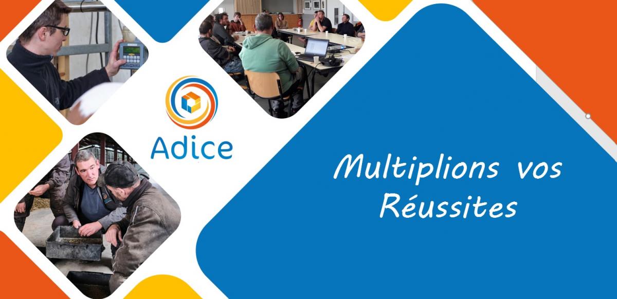 Les administrateurs Adice communiquent vers les éleveurs adhérents de l'association | FIDOCL ...